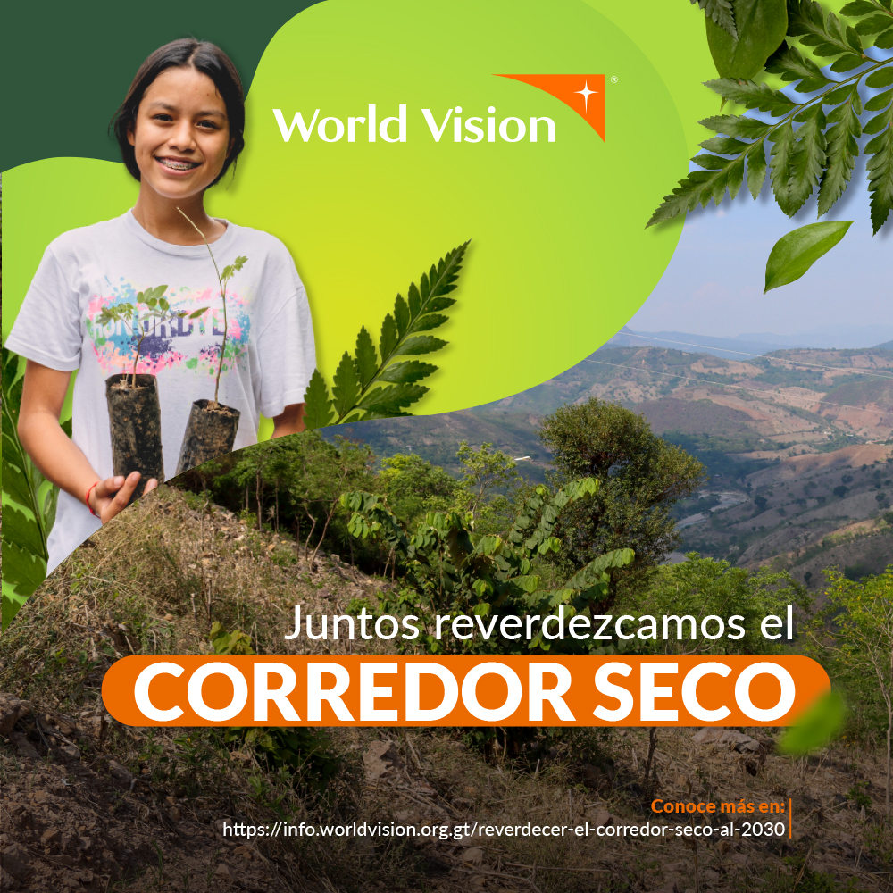 Nuestra meta REVERDECER el Corredor Seco al 2030